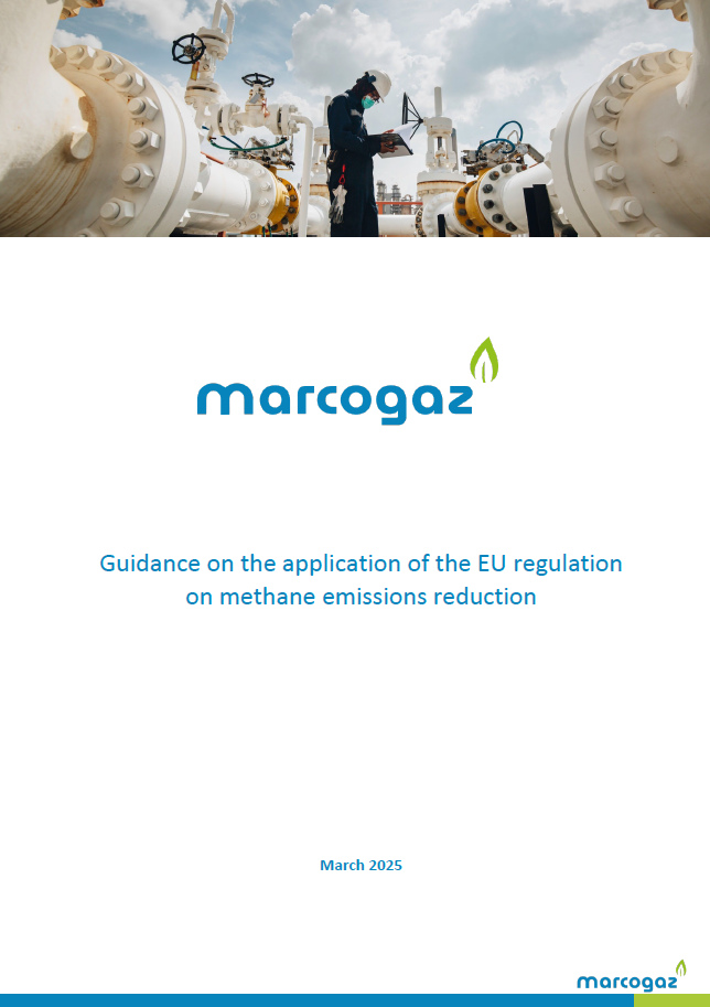 Guidance on the application of the EU regulation on methane emissions ...